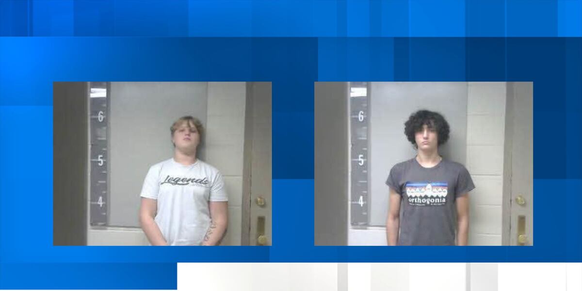 Tayton Higgins and Tanner Park arrested for alleged Guntersville break-ins Tayton Higgins and Tanner Park arrested for alleged Guntersville break-ins